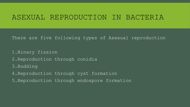 Reproduction in Bacteria : Understanding the Vital Processes of ...