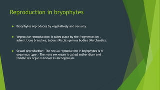 Bryophyta: Exploring the World of Mosses, Liverworts, and Hornworts | PPTX