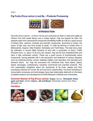Fig Fruits (Ficus carica L) and By – Products Processing | PDF
