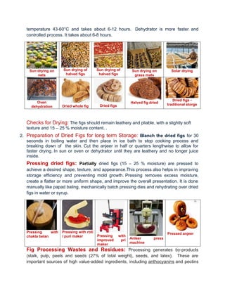 Fig Fruits (Ficus carica L) and By – Products Processing | PDF