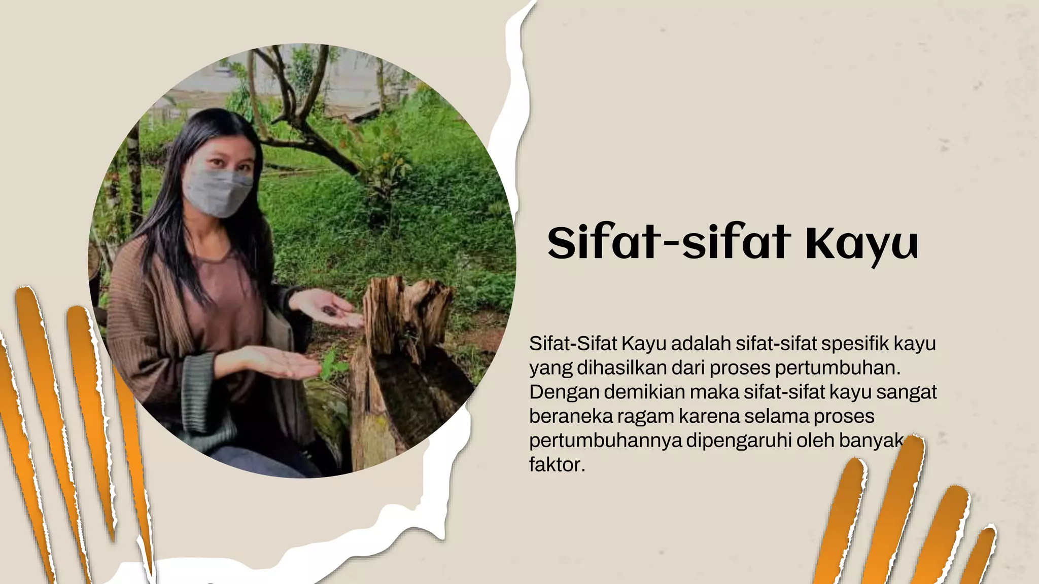 ANJELINA_PPT FISIKA KAYU_Sifat kayu terhadap cahayaFAKULTAS KEHUTANAN ...