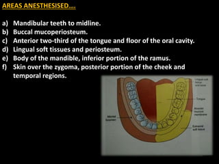 MANDIBULAR NERVE BLOCK. | PPTX