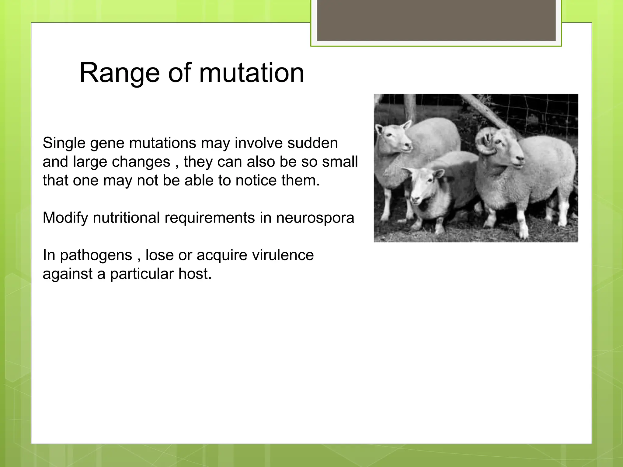 anju c s.pptx mutation evolution history | PPT