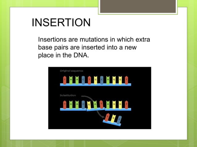 anju c s.pptx mutation evolution history | PPT