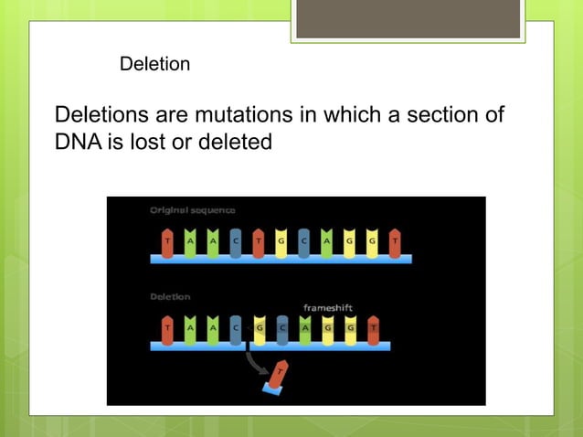 anju c s.pptx mutation evolution history | PPT