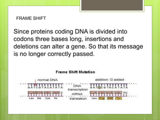 anju c s.pptx mutation evolution history | PPT