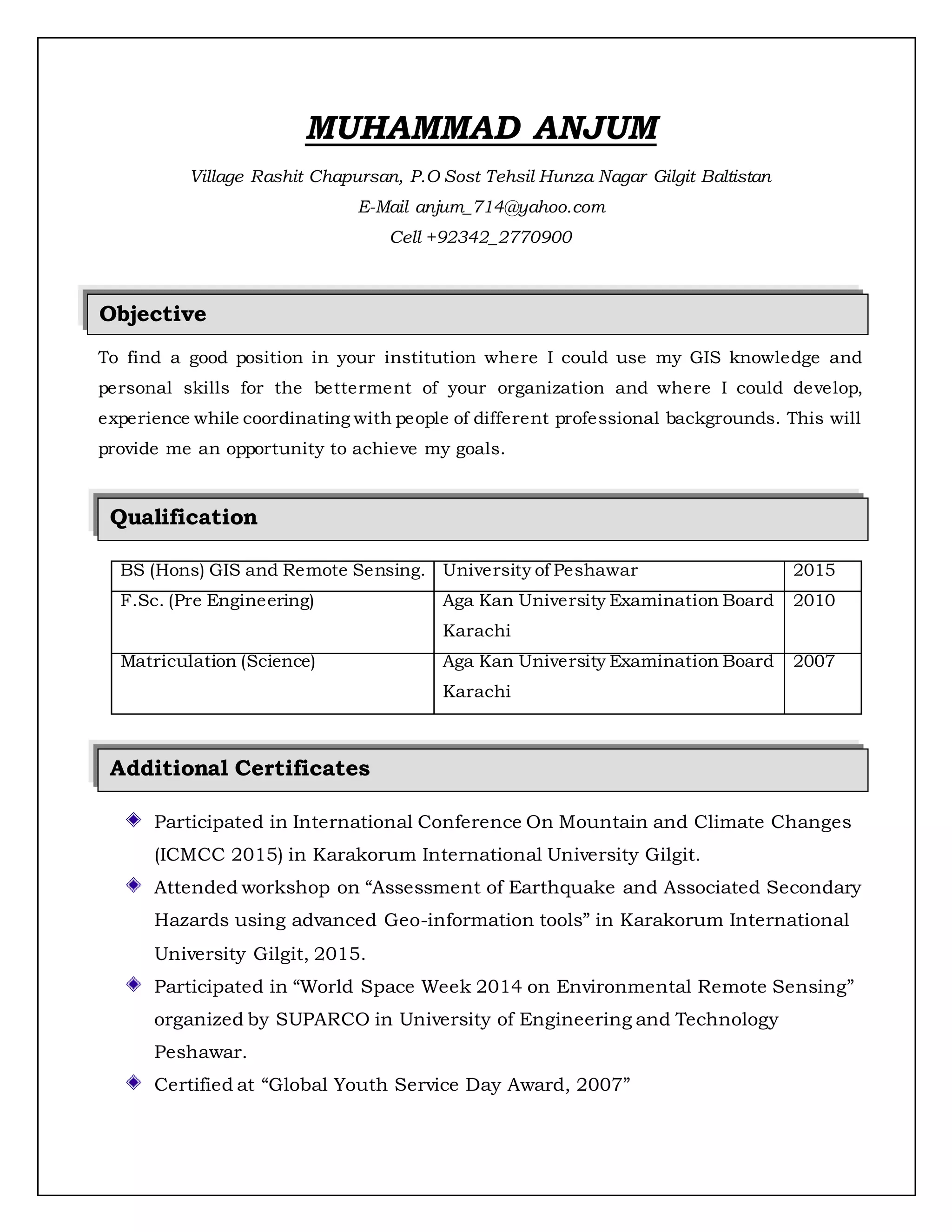 CV GIS Analyst | DOCX | Geography | Science