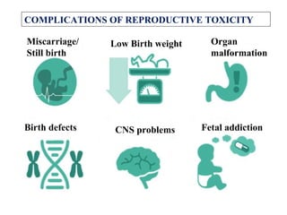 Reproductive toxicity induced by nanoparticles | PPT
