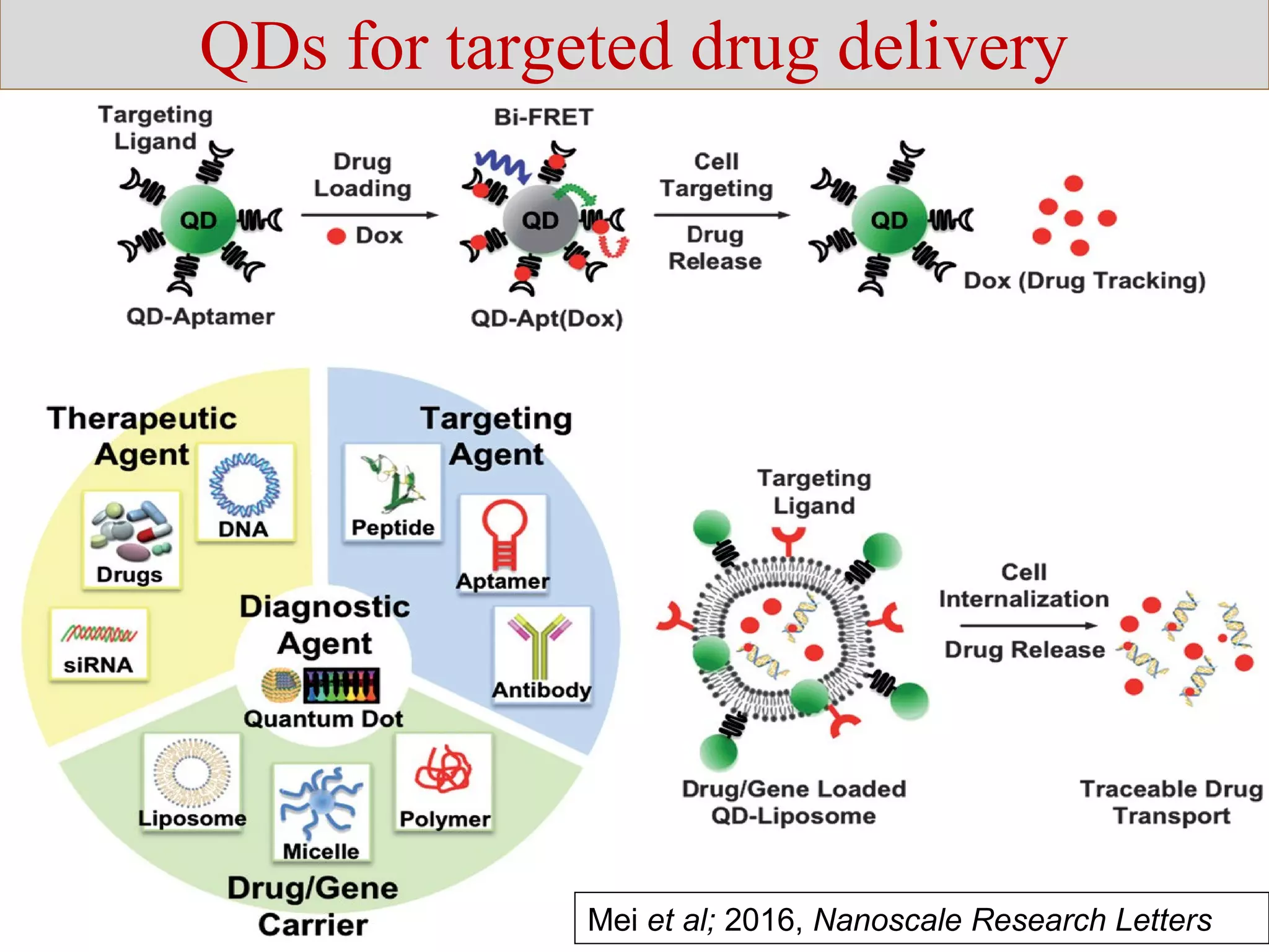 Biomedical applications of quantum dots | PPT
