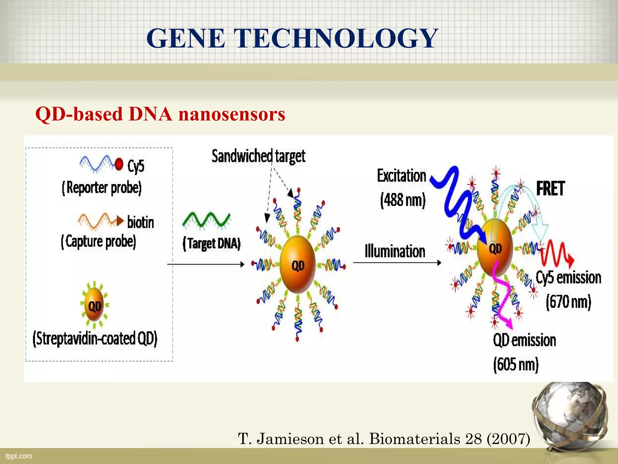 Biomedical applications of quantum dots | PPT