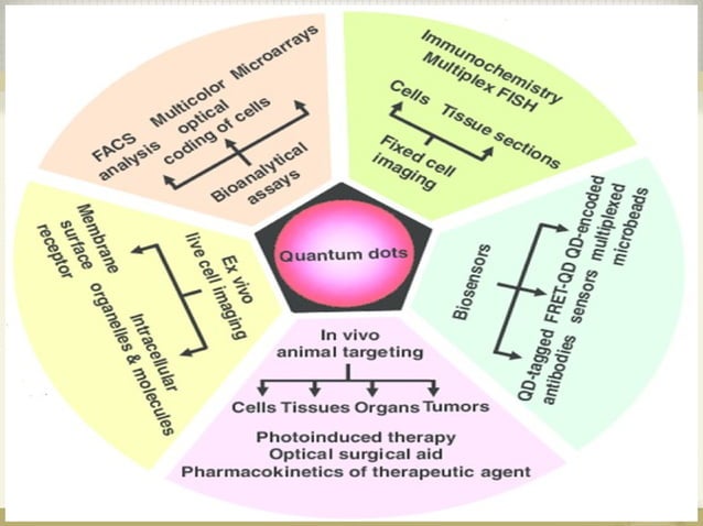 Biomedical applications of quantum dots | PPT