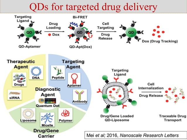 Biomedical applications of quantum dots | PPT