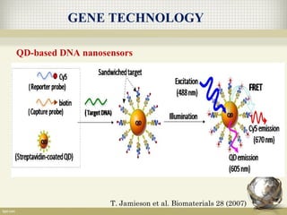 Biomedical applications of quantum dots | PPT