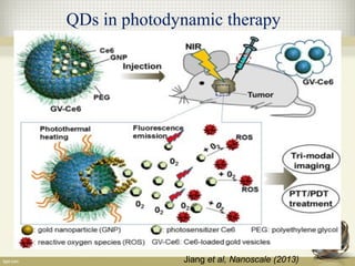 Biomedical applications of quantum dots | PPT