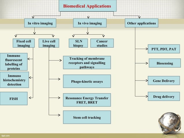 Biomedical applications of quantum dots | PPT