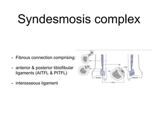 Anke fx fixation - Derek Park | PPTX