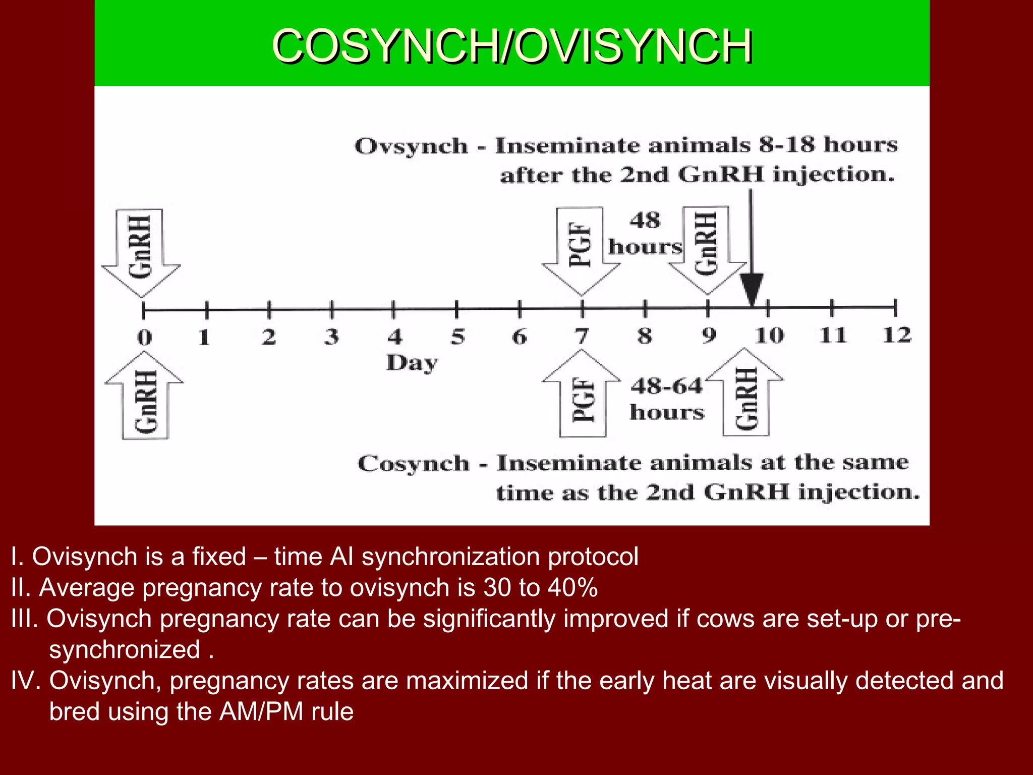 estrous synchronization | PPT