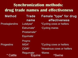 estrous synchronization | PPT
