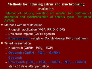 estrous synchronization | PPT