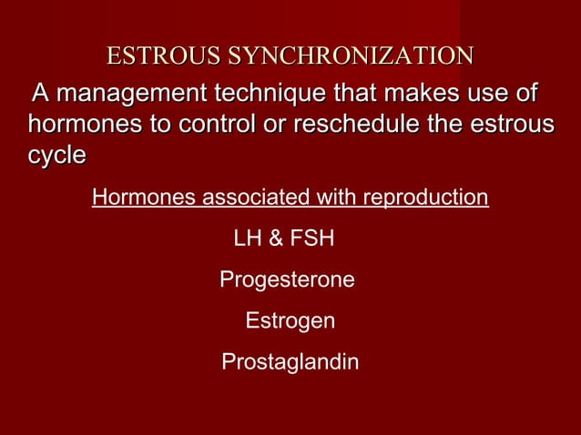 estrous synchronization | PPT | Pregnancy | Reproductive Health