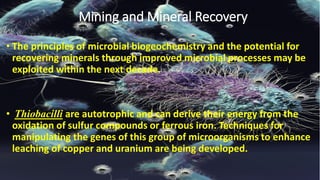 Microbes and You | PDF