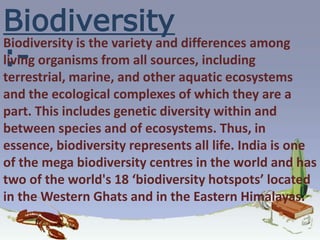 Endangered Species | PPTX