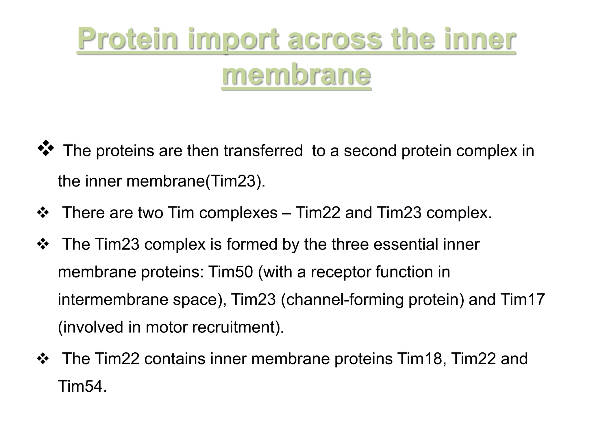 Protein Import & Mitochondrial Assembly | PPTX