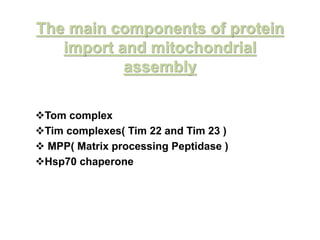 Protein Import & Mitochondrial Assembly | PPTX