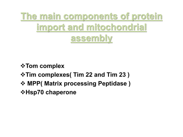 Protein Import & Mitochondrial Assembly | PPTX | Chemistry | Science