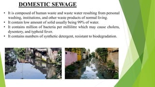 Sewage disposal and pollution control.Ppt. | PPTX