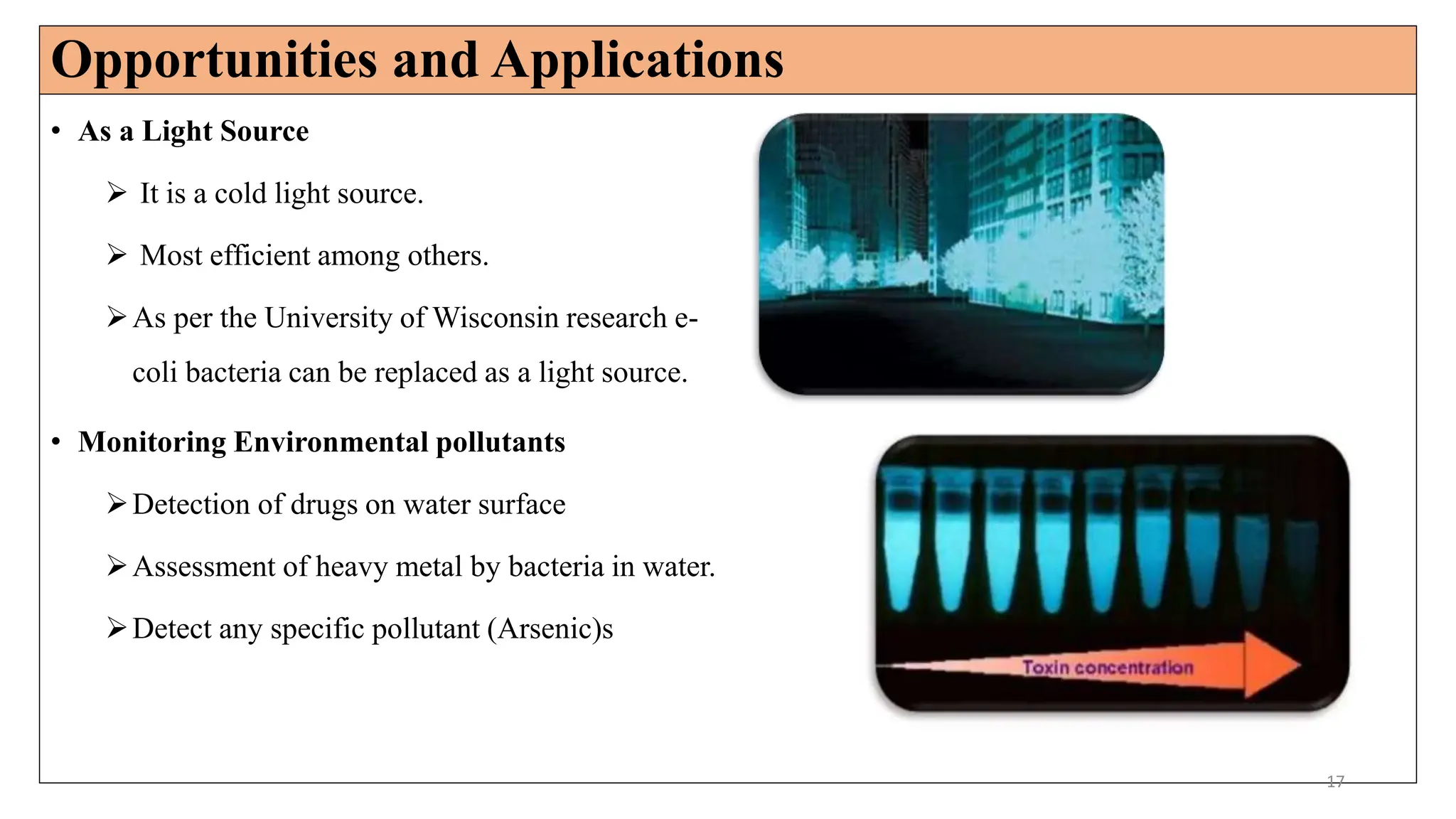 Bioluminescence-Living source of light on earth | PPT