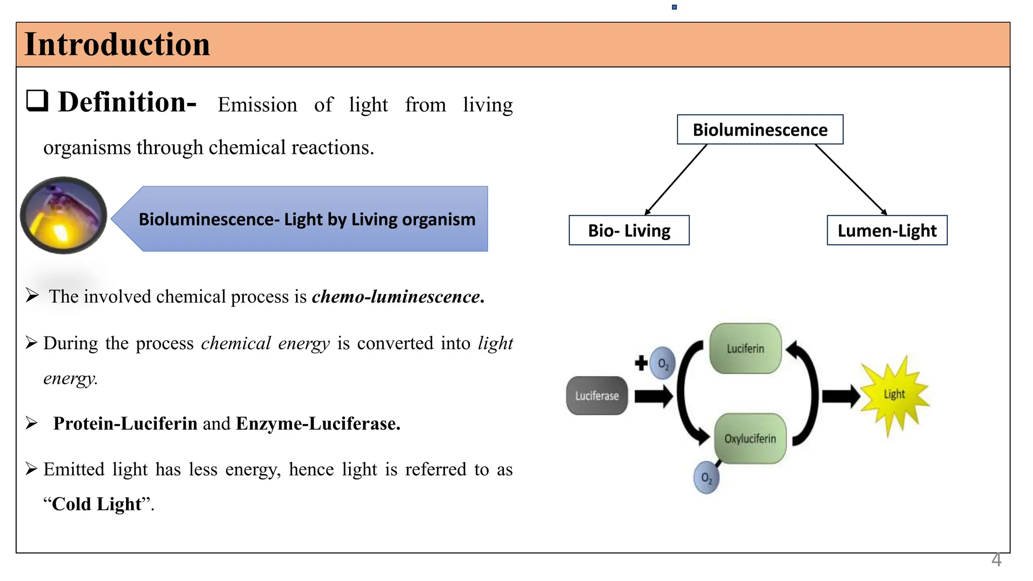 Bioluminescence-Living source of light on earth | PPT
