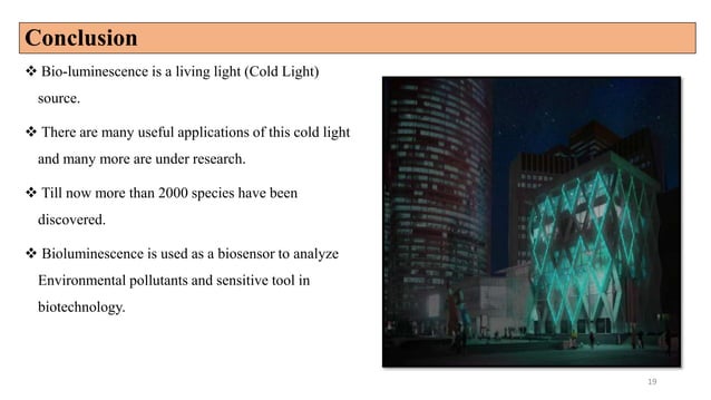 Bioluminescence-Living source of light on earth | PPT