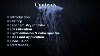 Bioluminescence-Living source of light on earth | PPTX