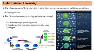 Bioluminescence-Living source of light on earth | PPT