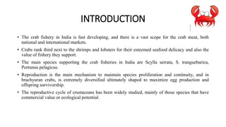 ANKITA.THAKUR-REPRODUCTIVE BIOLOGY OF CRAB.pptx