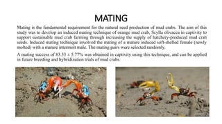 ANKITA.THAKUR-REPRODUCTIVE BIOLOGY OF CRAB.pptx