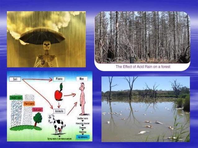 Acid-Rain- | PPTX | Environment | Science