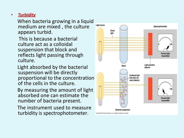 Bacterial growth measurement-1556u90515054532.pptx