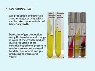 MEASURMENTS OF BACTERIAL GROWTH | PPTX