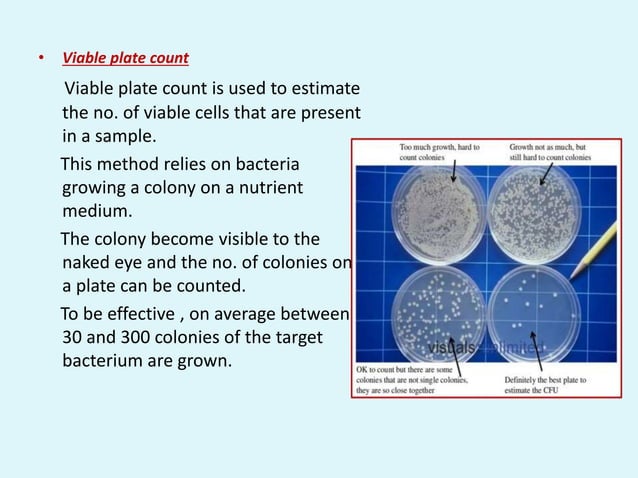 MEASURMENTS OF BACTERIAL GROWTH | PPTX