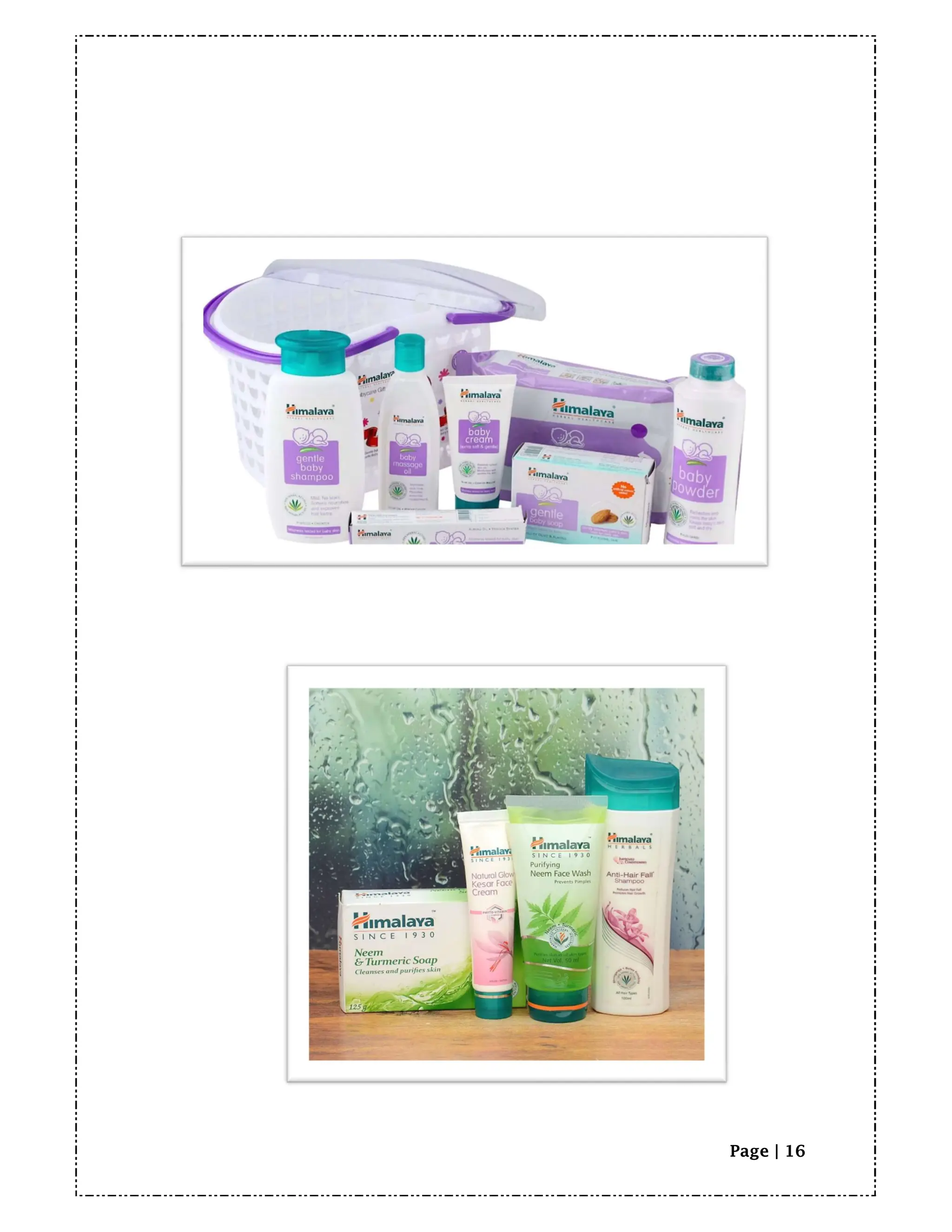 Ankita himalaya project final copy....... | PDF