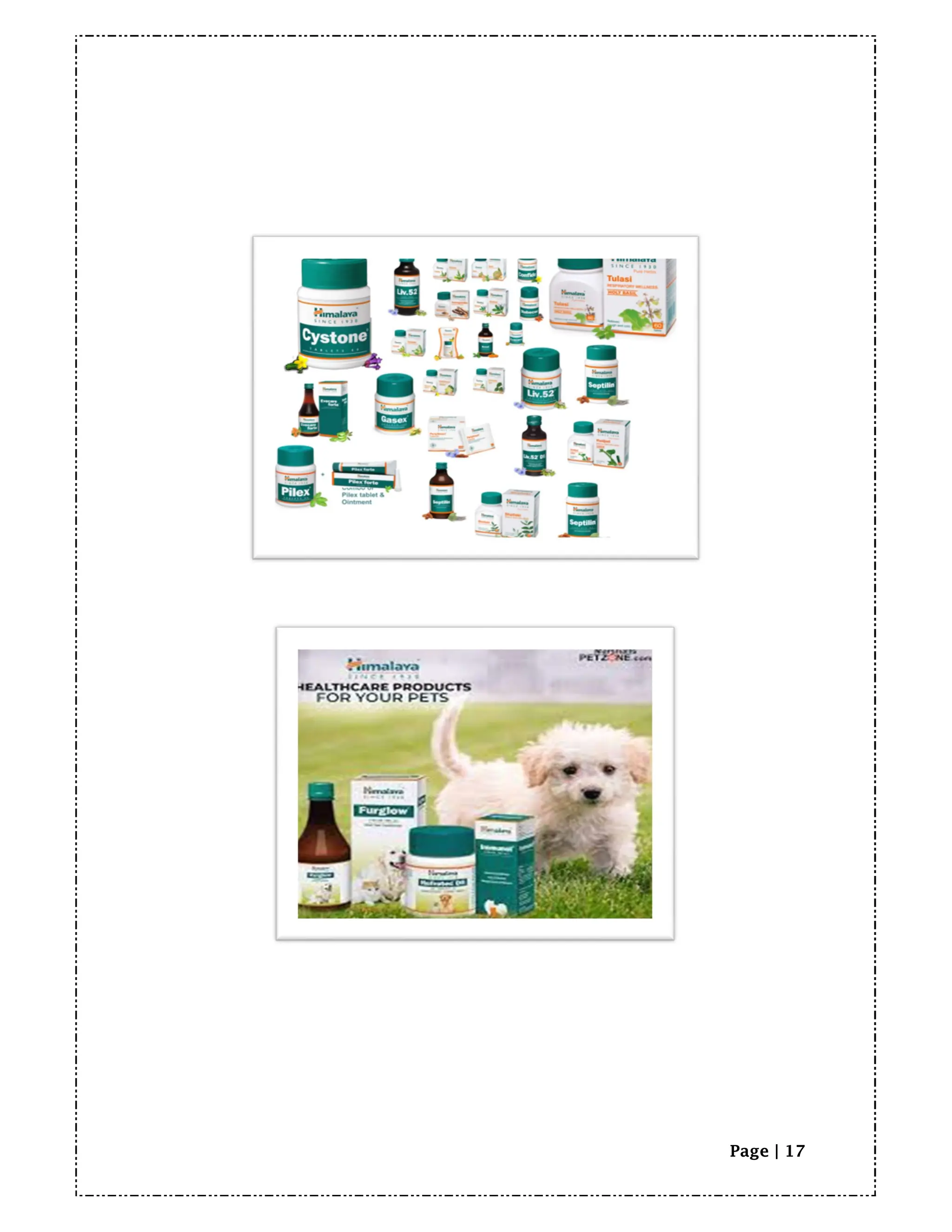 Ankita himalaya project final copy....... | PDF