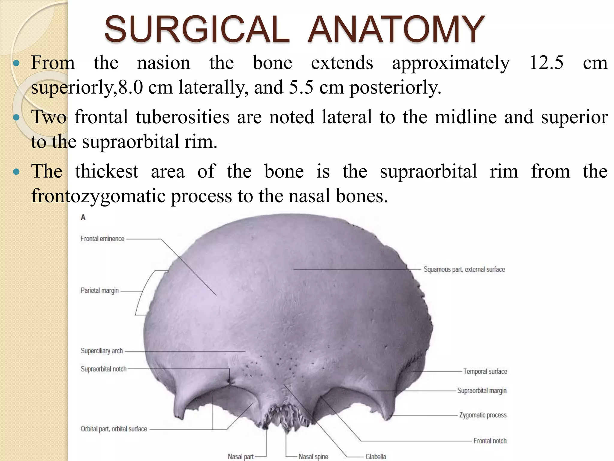 FRONTAL BONE FRACTURE | PPTX
