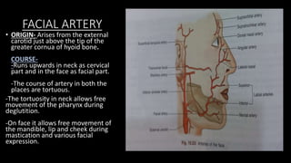 EXTERNAL CAROTID ARTERY | PPTX