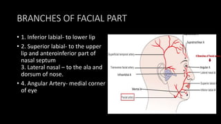 EXTERNAL CAROTID ARTERY | PPTX