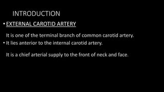 EXTERNAL CAROTID ARTERY | PPTX