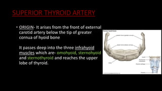 EXTERNAL CAROTID ARTERY | PPTX