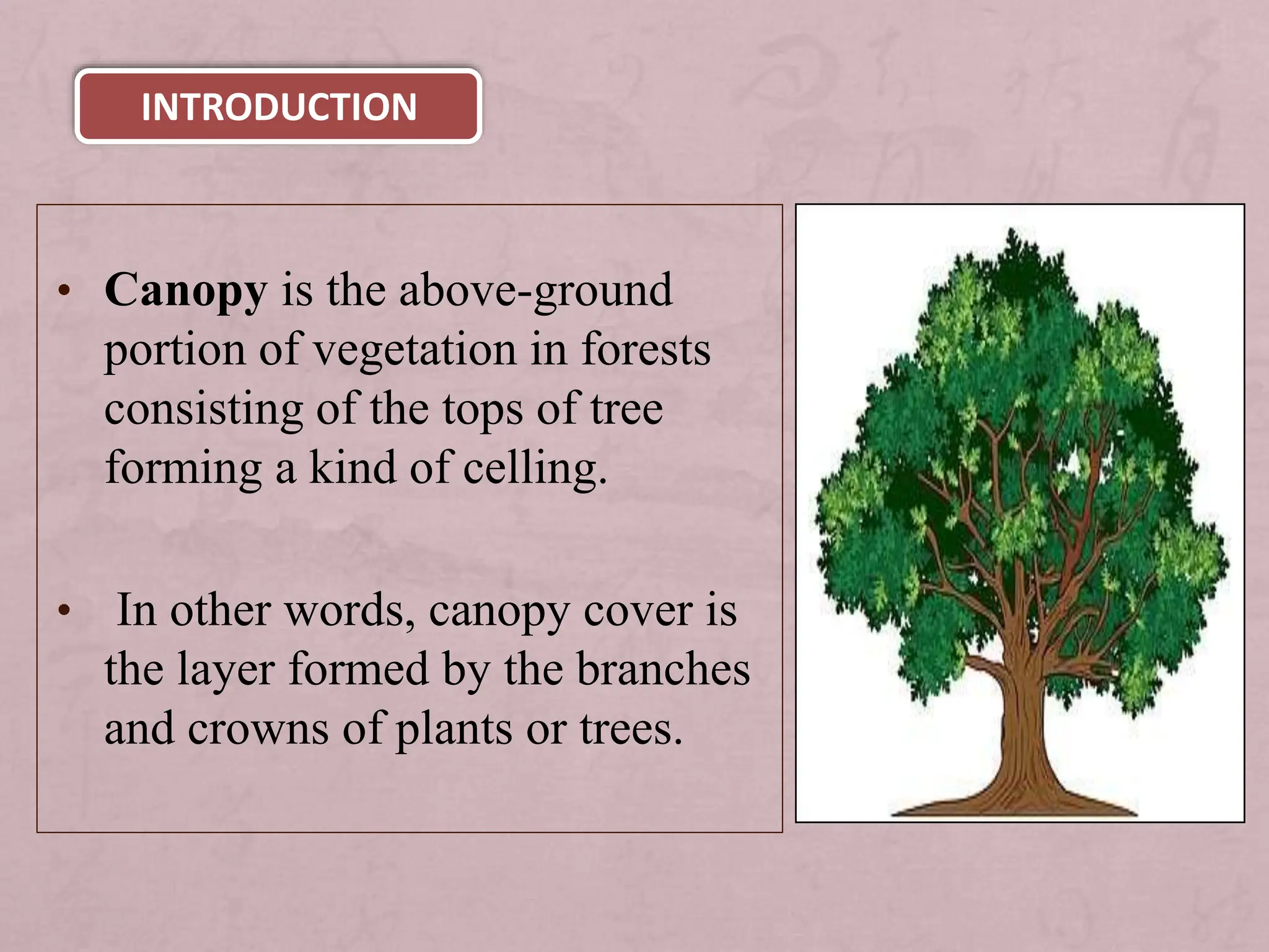 CANPOY CLASSIFICATION AND CANOPY MANAGEMENT THROUGH ROOTSTOCK AND SCION ...