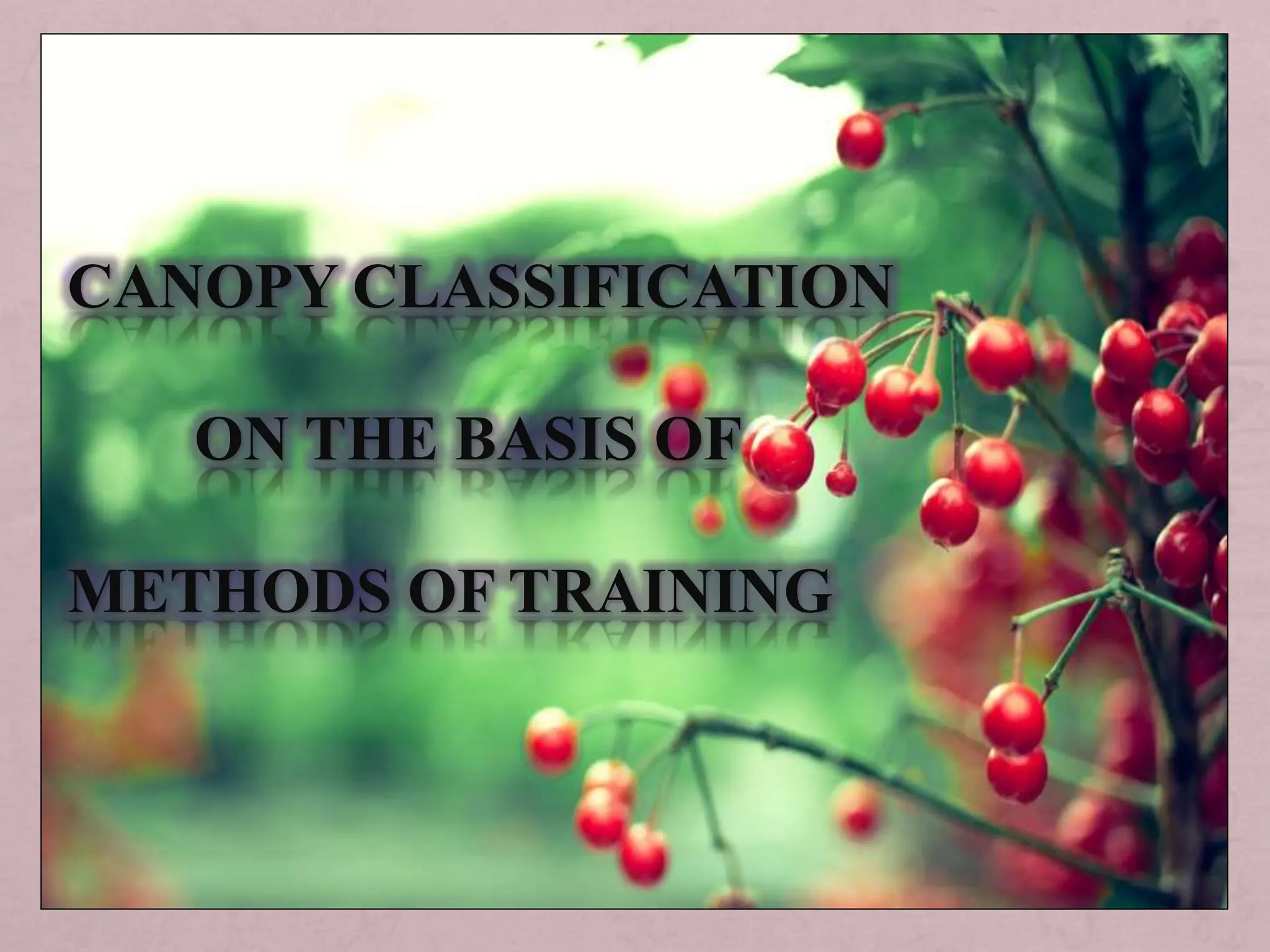 CANPOY CLASSIFICATION AND CANOPY MANAGEMENT THROUGH ROOTSTOCK AND SCION ...